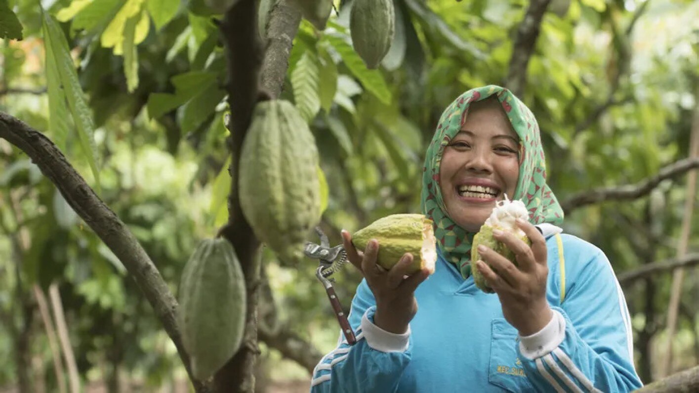 Le Plan Cacao Nestlé - Nos engagements | KitKat®